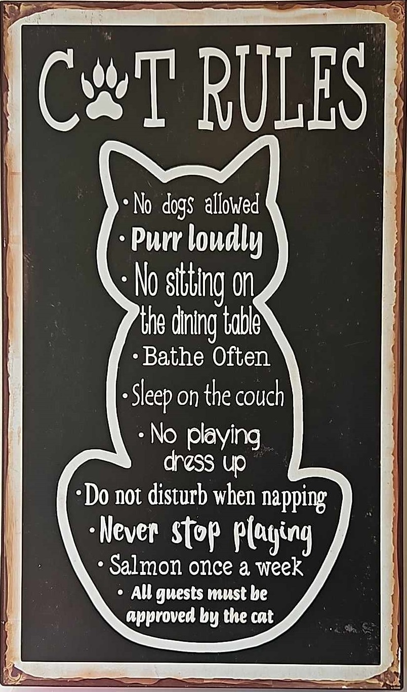 The Kit-Tea Café – Falkirk’s first and only Cat Cafe